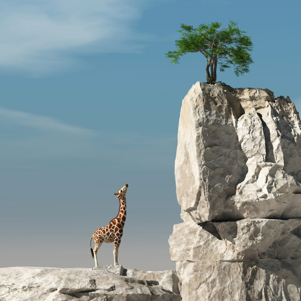 Attaining Goals: What Holds You Back? - Ideas + Innovations from 2040